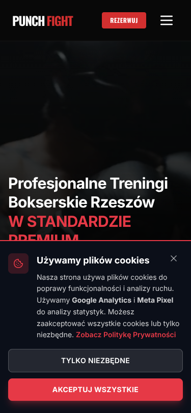 punchfight.pl SEO Report | SEO Site Checkup