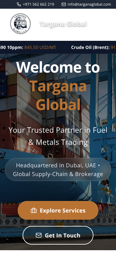 targanaglobal.com SEO Report | SEO Site Checkup