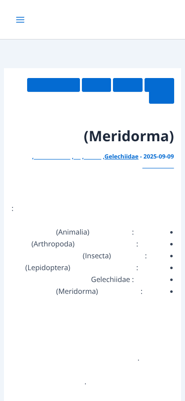 istifaga.com/1026870/%d9%85%d9%8a%d8%b1%d9%8a%d8%af%d9%88%d8%b1%d9%85 ...