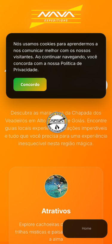 nava.eco.br/chapadadosveadeiros.html SEO Report | SEO Site Checkup